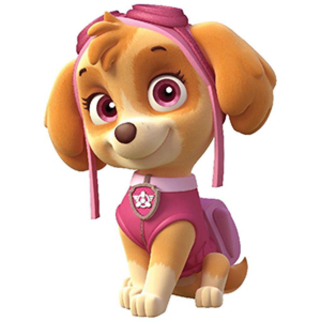 Los personajes de La Patrulla Canina Paw Patrol - ¡Descubrelos!